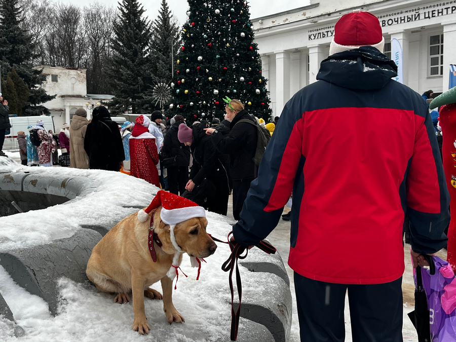 В регионе усилят охрану в период праздничных новогодних дней